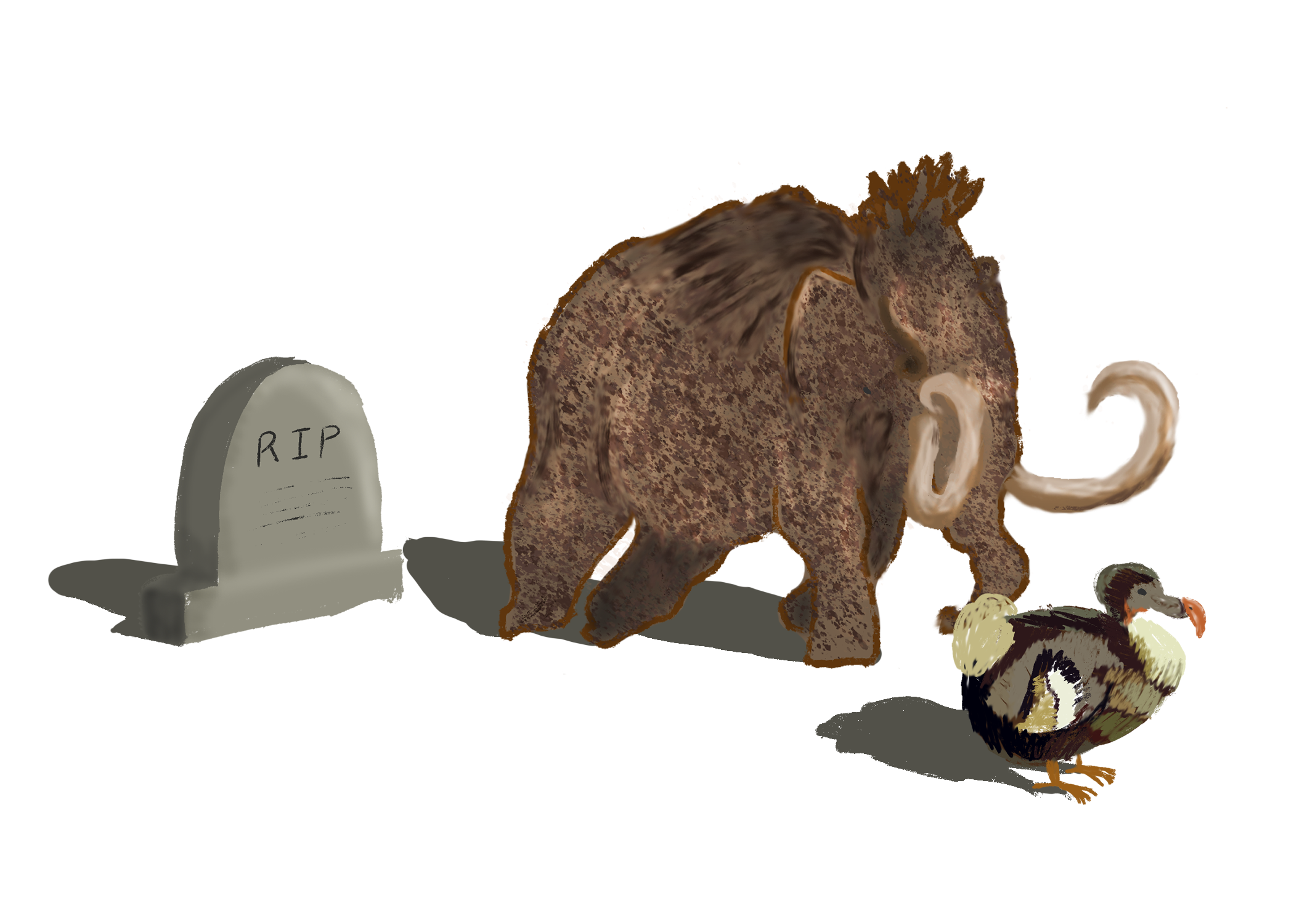 What was here before: Colossal resurrects the woolly mammoth and dodo ...